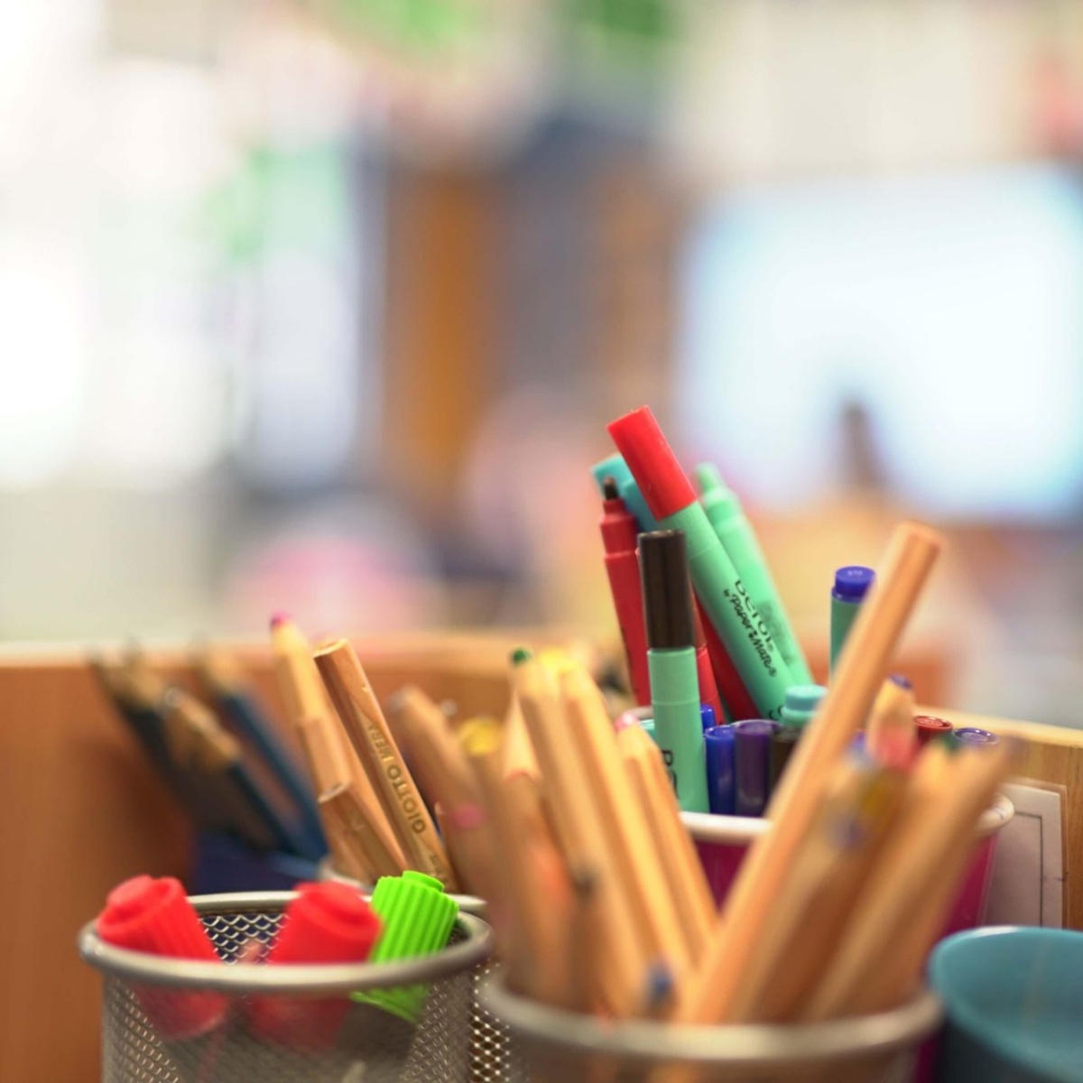 Milecastle Primary School - News Article 1